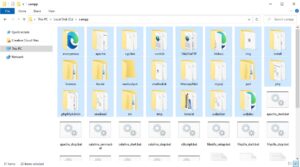 How to Copy Multiple Windows Folder Names to Text - WhooshTranscription